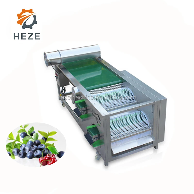 Automatic Blueberry Sorting Machine Auto Blueberries Size Grading Equipment For Sale - Buy High ...