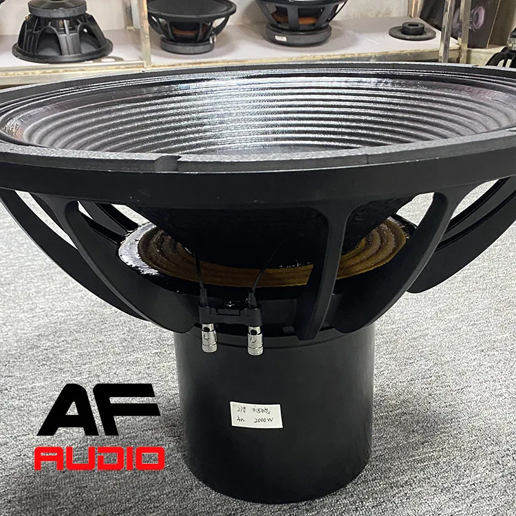 21X4 Inch Car Subwoofer - 5000W Competition Audio Woofer