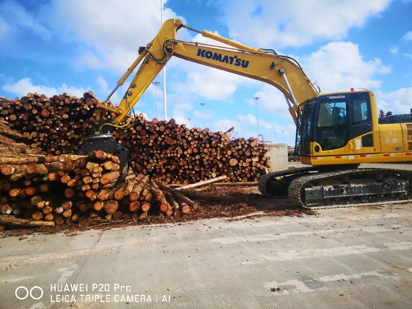 Forest Wood Log Grabber Heavy Duty Fixed Grapple For 12ton 15ton ...