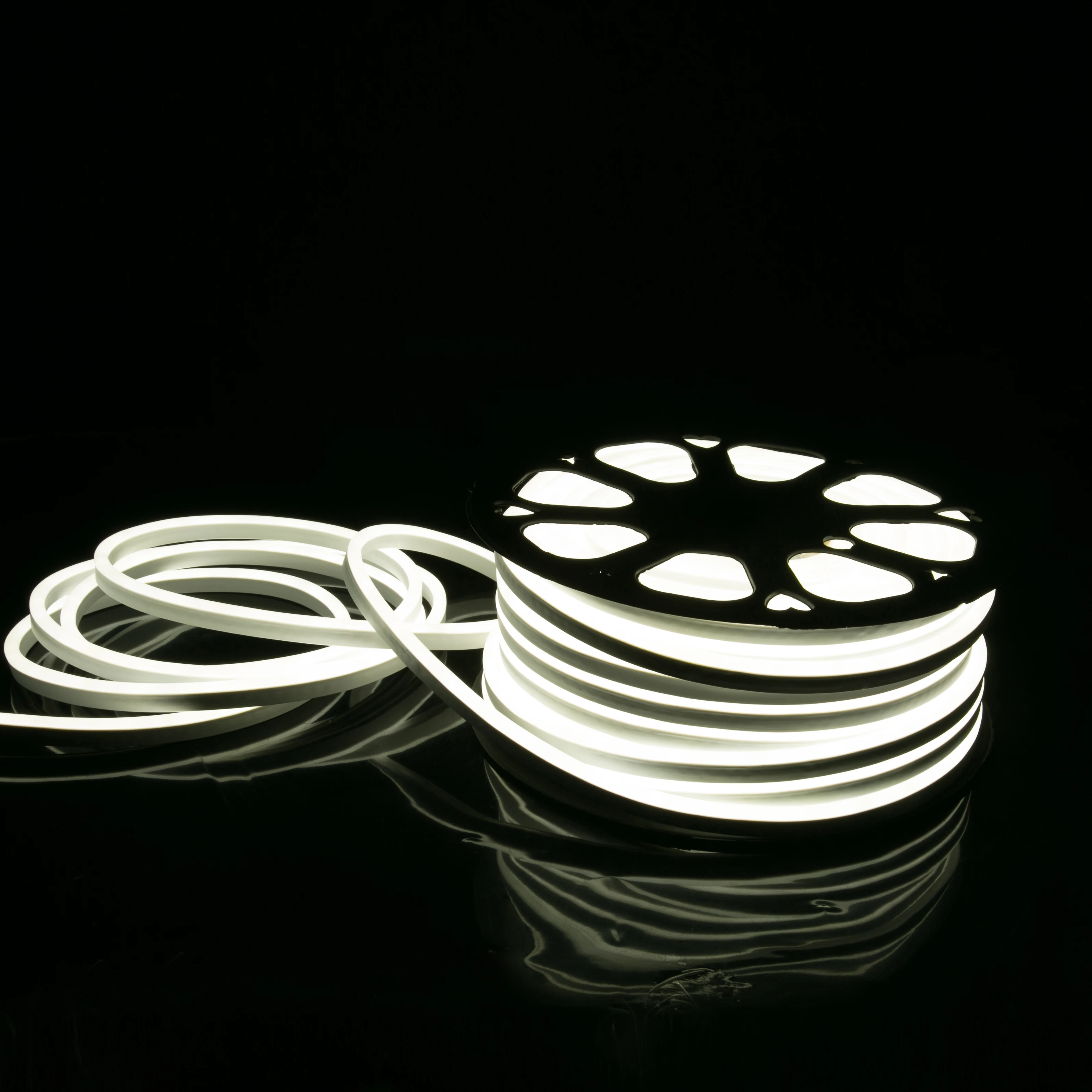 AC220V AC110V DC12V DC24V RGB Full Color Single Color 65.6ft Waterproof ...