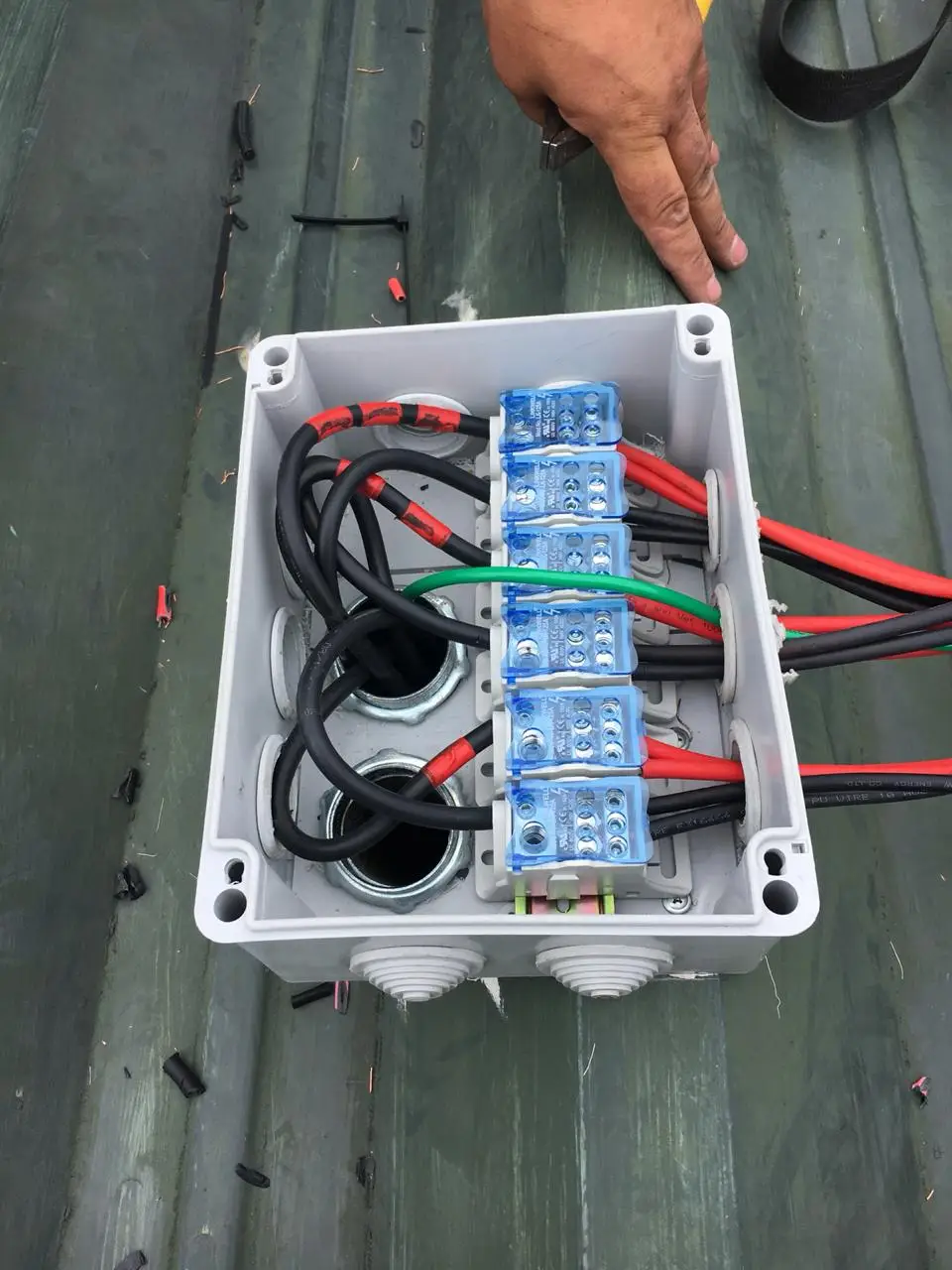 3 Pole Din Rail Screw Mounted DB Distribution Terminals