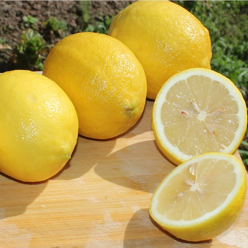 Hot Sale Cheap Price Fresh Eureka Yellow Lulu Lemons From Sichuan China ...