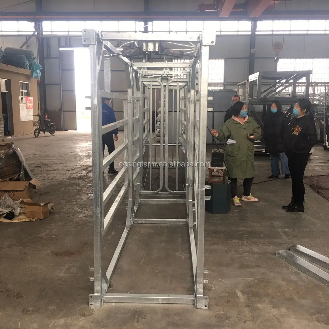 Semi Automatic Cattle Sorting Bar Handling Squeeze Crush - Buy ...