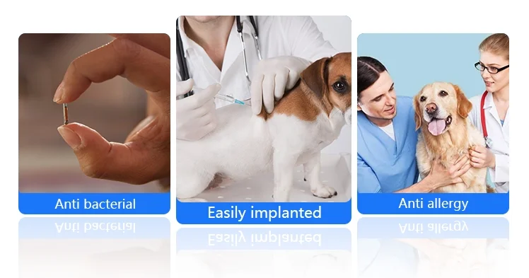 HF Pet Implant Sheep Animal Tracking ID Tag RFID Chip