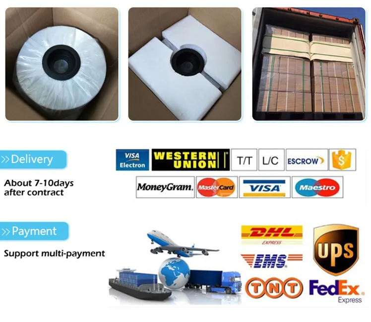 Biodegradable PLA Film for Sustainable Packaging Solutions