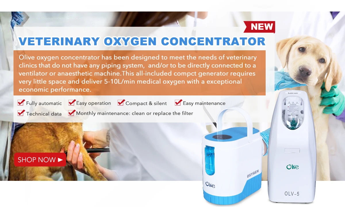 Olive Ce Approved Dog Oxygen Concentrator for Veterinary Use