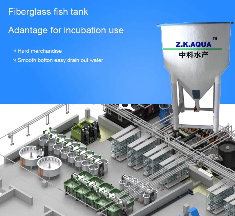 Hot Sale Small-scale Recirculating Aquaculture System Tilapia Farming ...