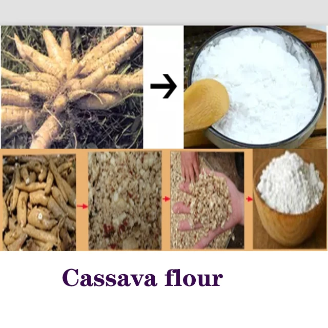 Cassava Flour Production Line - Efficient & Durable Solutions