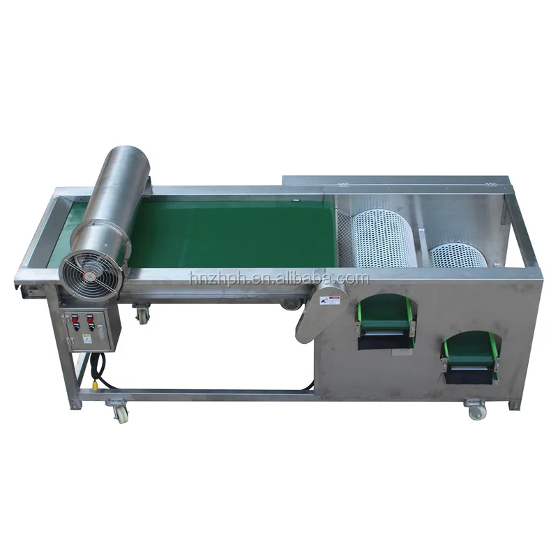 Stainless Steel Electric Fruit Size Grading Machine Blueberry Sorter ...