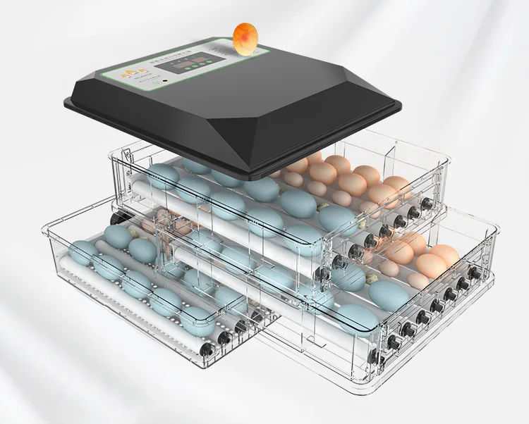 Automatic Incubators - Efficient Egg Hatching Solutions