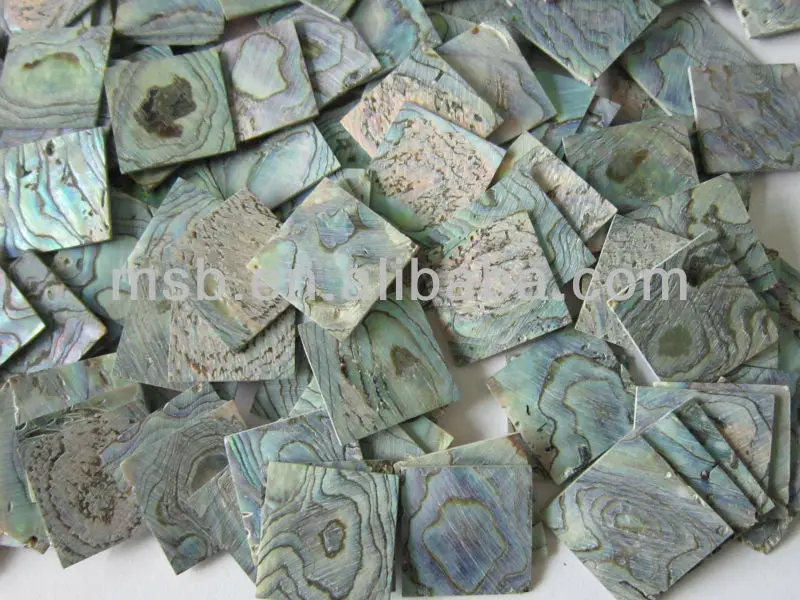 Square Cut Abalone Shell Chips - Natural Folk Art