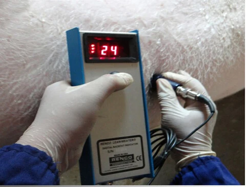 Veterinary Pig Body Backfat Thickness Surveymeter Tester Machine Sheep ...