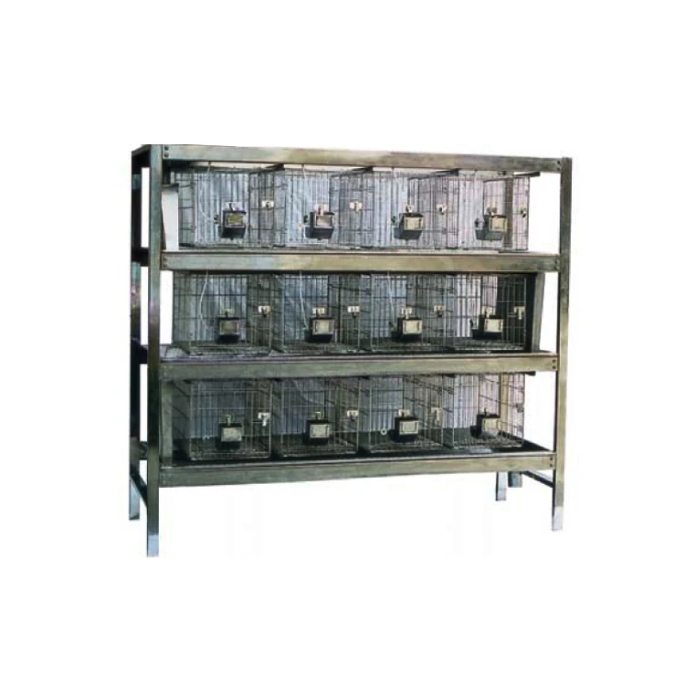 Laboratory Plastic Rat Cage For Running Animal Cages Hamster Cage Pets ...