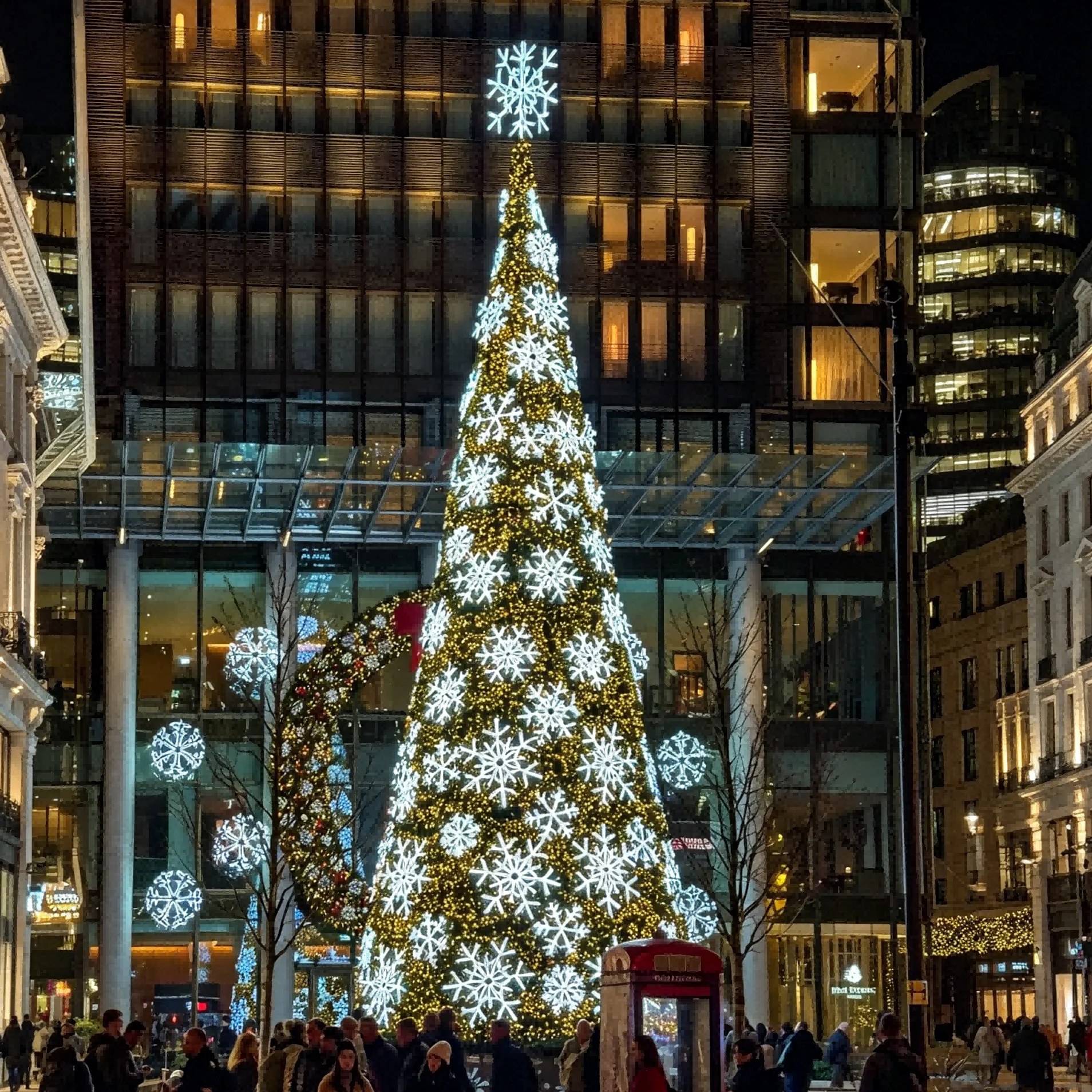 How to Choose a Cool Christmas Tree: 2025–2026 Guide