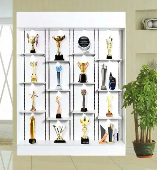 Custom Trophy Display Cabinet - Durable & Stylish Design