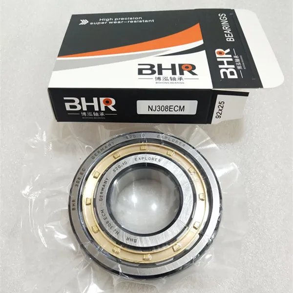 RN312E Cylindrical Roller Bearings - Precision & Durability