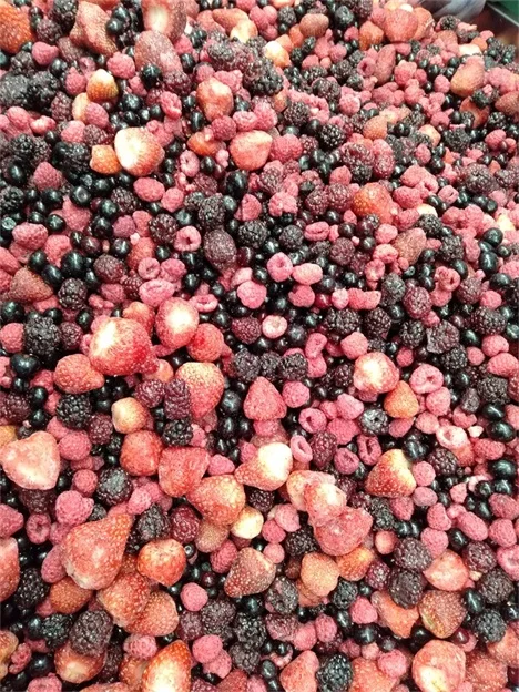 Bulk Packing Frozen Fruit IQF - Mixed Berries Premium