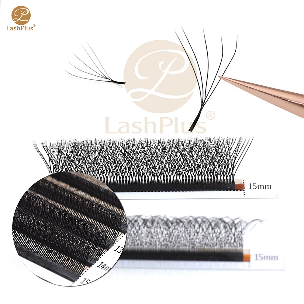Lashplus Label Lash Extensions W 3d 4d 5d 6d 7d 8d 9d Y Shape Volume ...