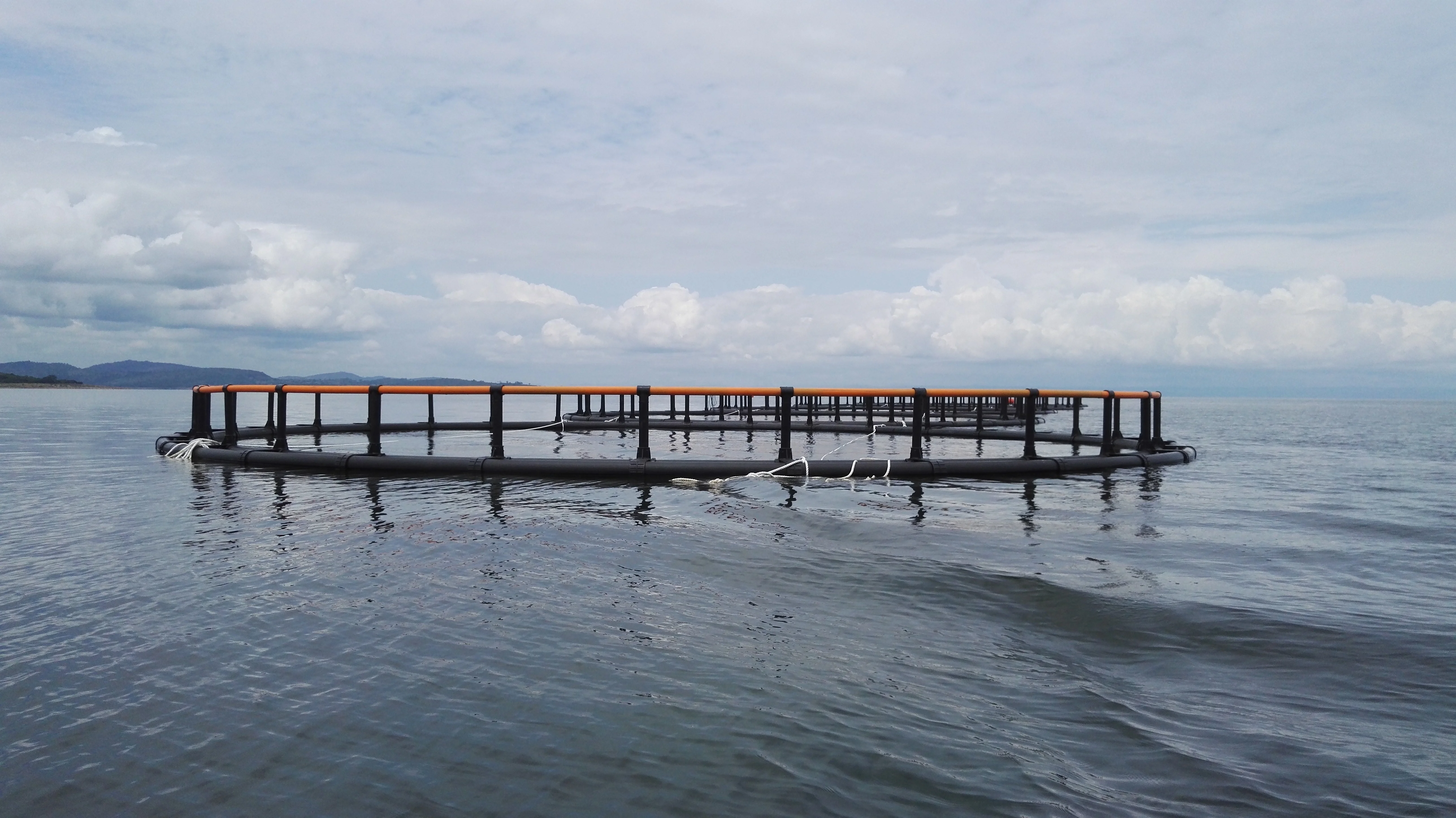 HDPE Floating Fish Cages - Durable & Customizable Solutions
