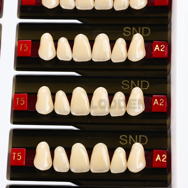 Snd Dentures Diy Anterior Teeth Factory Price Synthetic Resin Teeth ...