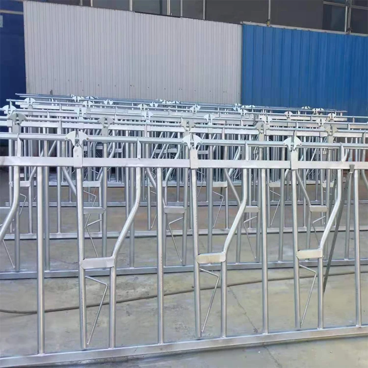 Farm Feeding Equipment Cow Head Lock for Sale - Easy & Cow Friendly