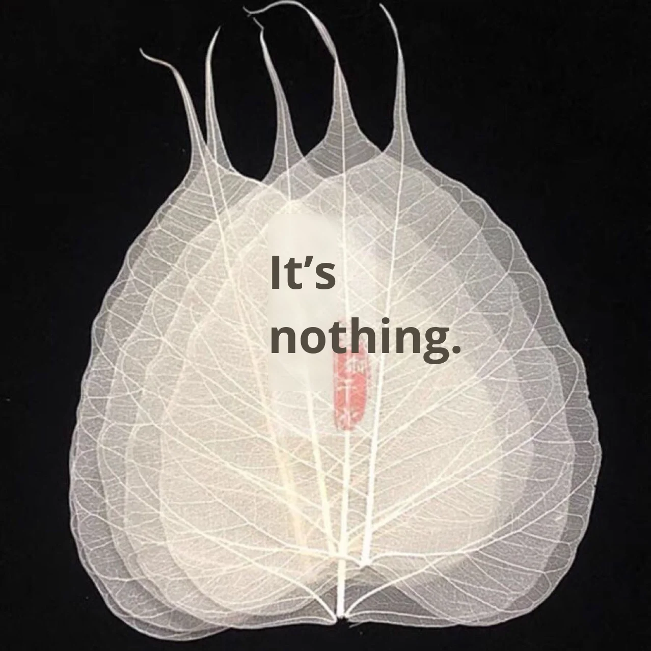 Bodhi Leaf Veins DIY Bookmarks Natural Plant Materials Handmade ...