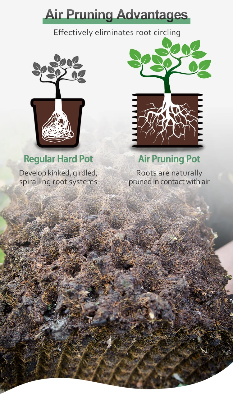 Garden Supply Greenhouse Plant Root Control Pot Air Root Pots Hydroponics