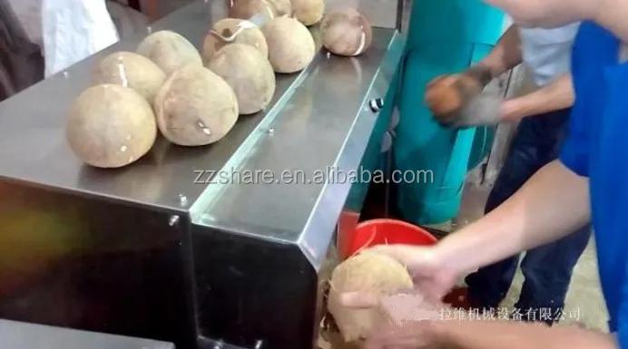 Automation Coconut Testa Peeler Sheller - Efficient & Durable