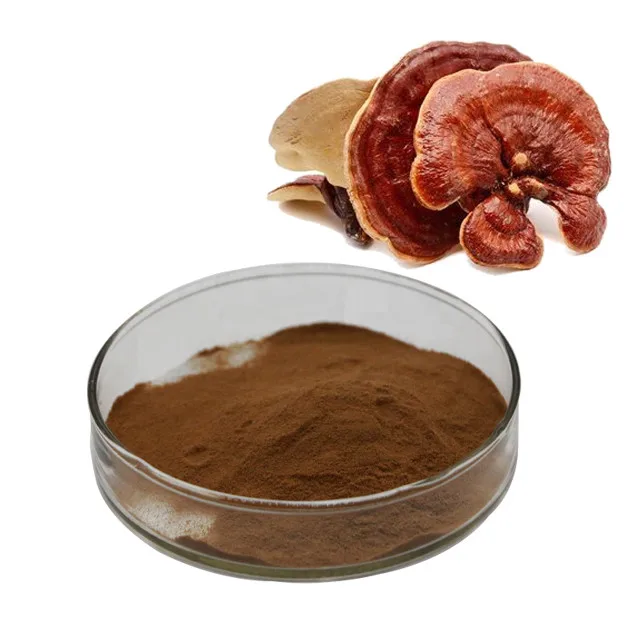 Wholesale Organic Ganoderma Lucidum Extract Reishi Mushroom Powder ...