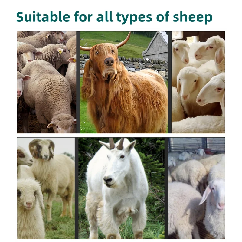 Efficient Sheep Wool Shearing with MUDUODUO Machines