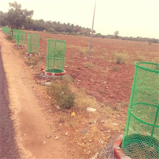 Different Types of Tree Guards for Effective Tree Protection