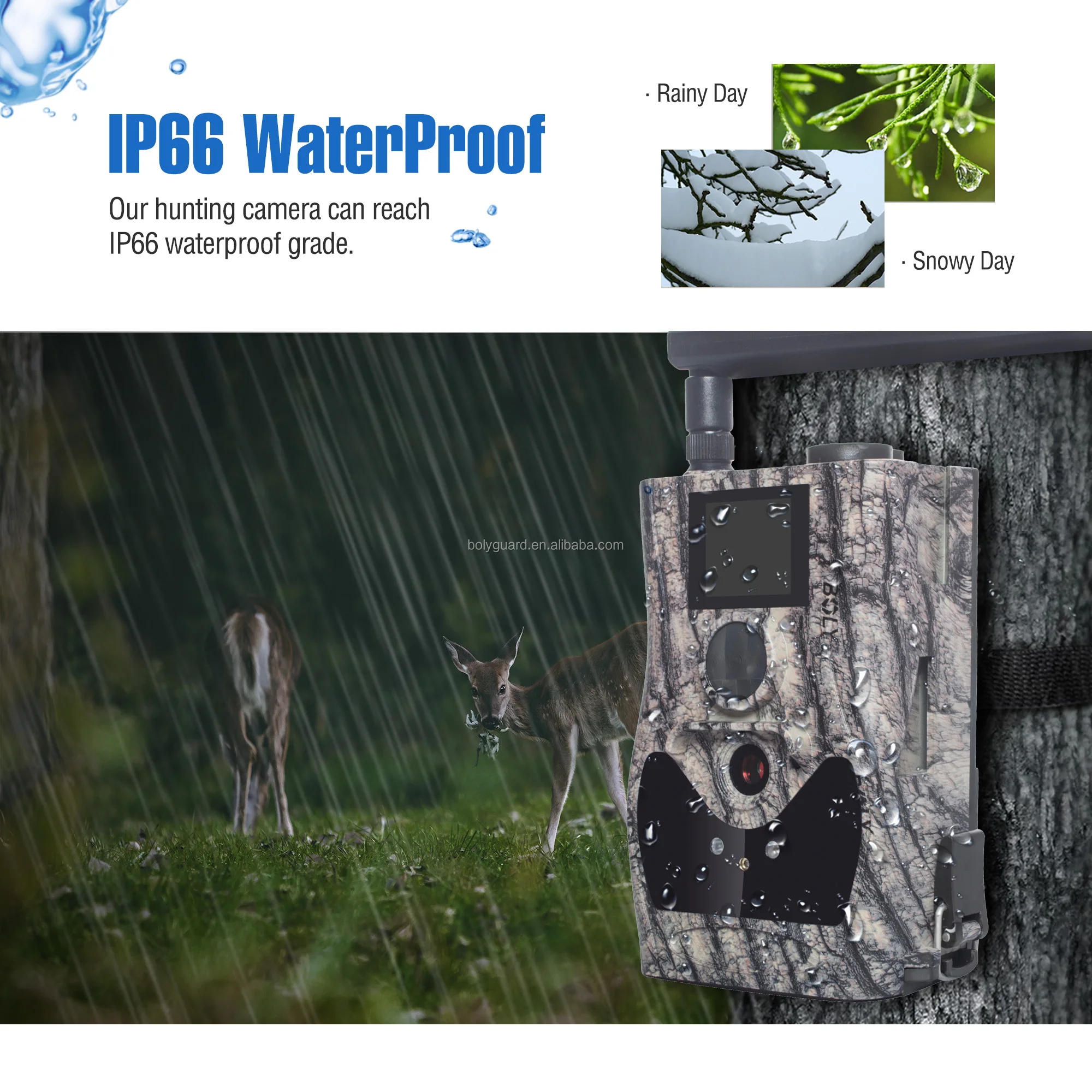 Boly 4G Wireless 24MP Trail Camera for Hunting & Scouting