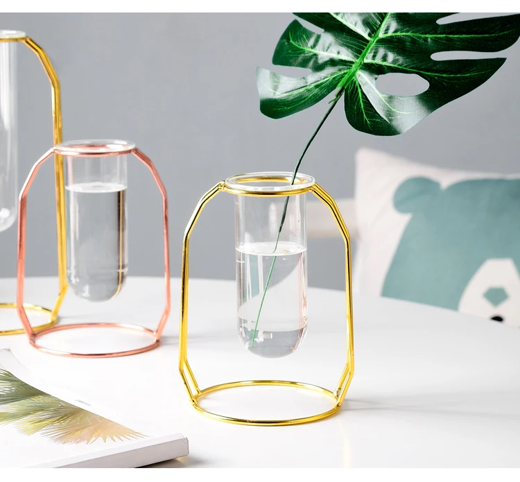 Decorative Glass Metal Test Tube Vases - Minimalist Style