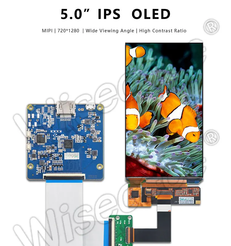 720x1280 High Resolution High Contrast 5 Inch 720p Oled Display Panel ...