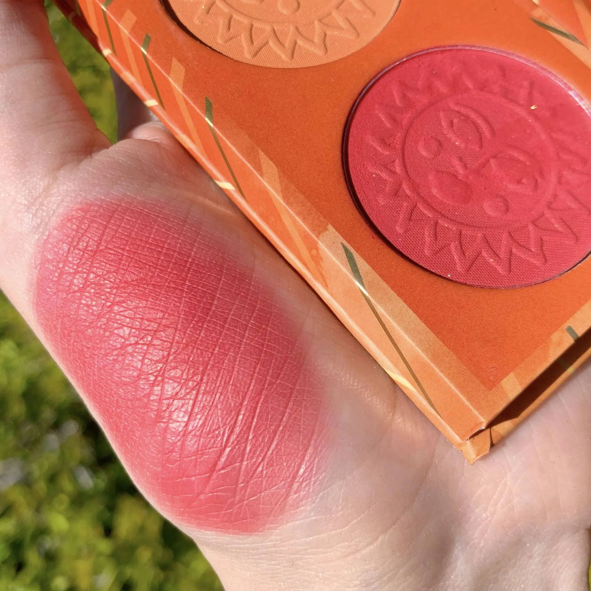 Cheek Blusher Compact Powder Soft And Delicate Makeup Blush Private ...