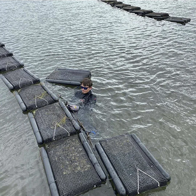 HDPE Foam Oyster Floats - Durable and Efficient Solutions