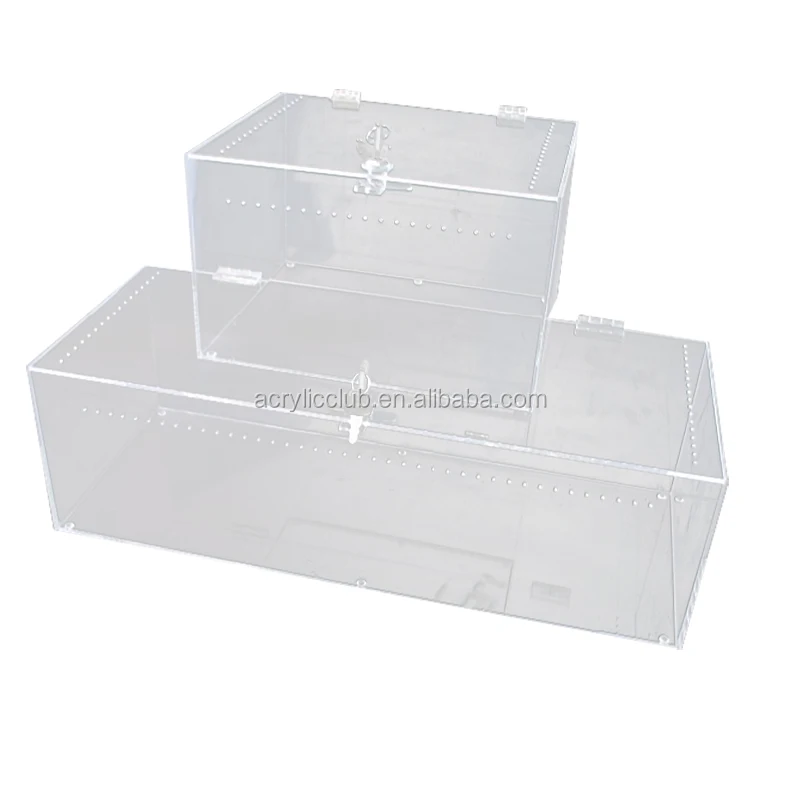 Acrylic Reptile Display Cases - Custom & Luxury Designs