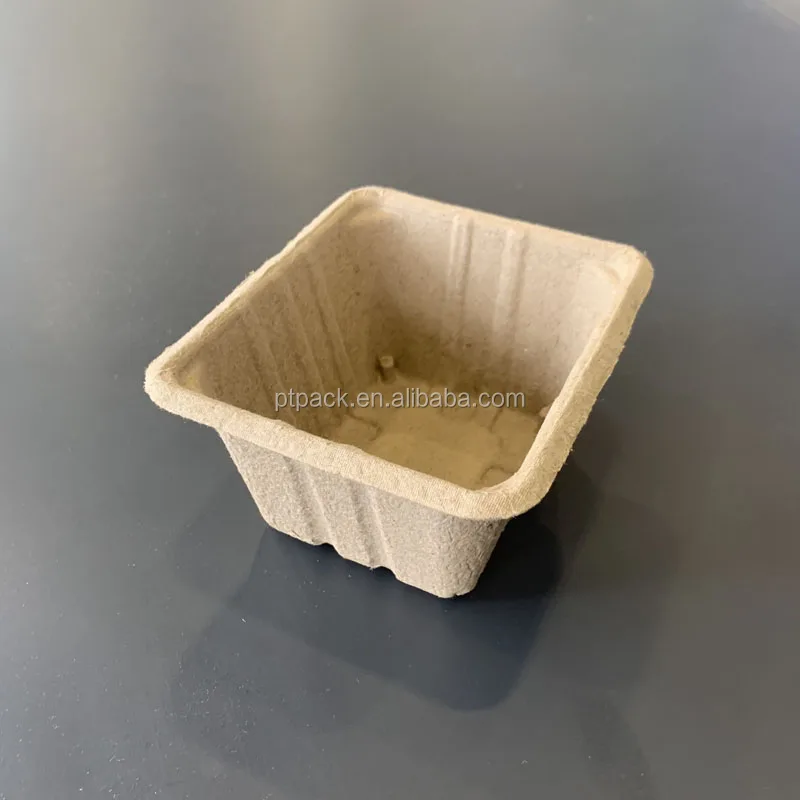 Mushroom Punnet Pulp Molded Tray - Sustainable Packaging