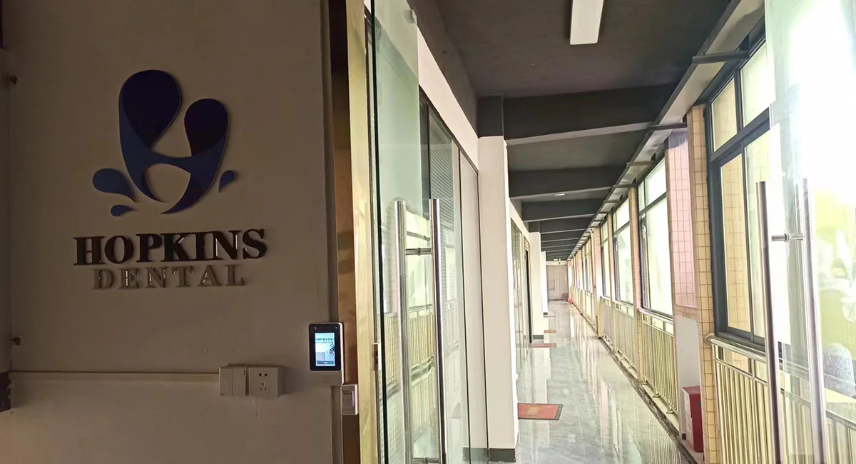 Hproot Injectable Root Canal Bioceramic Sealer Paste & Putty 2g Pre ...