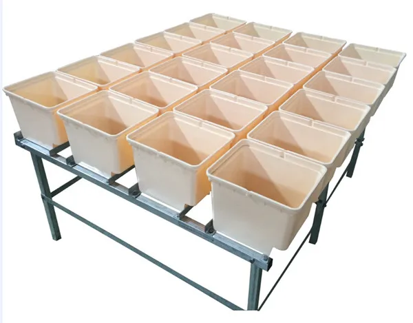 Commercial Dutch Bato Bucket - Efficient Hydroponic Growing