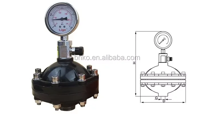 ChemSteady Diaphragm Pulse Stabilizer for Metering Pumps| Alibaba.com