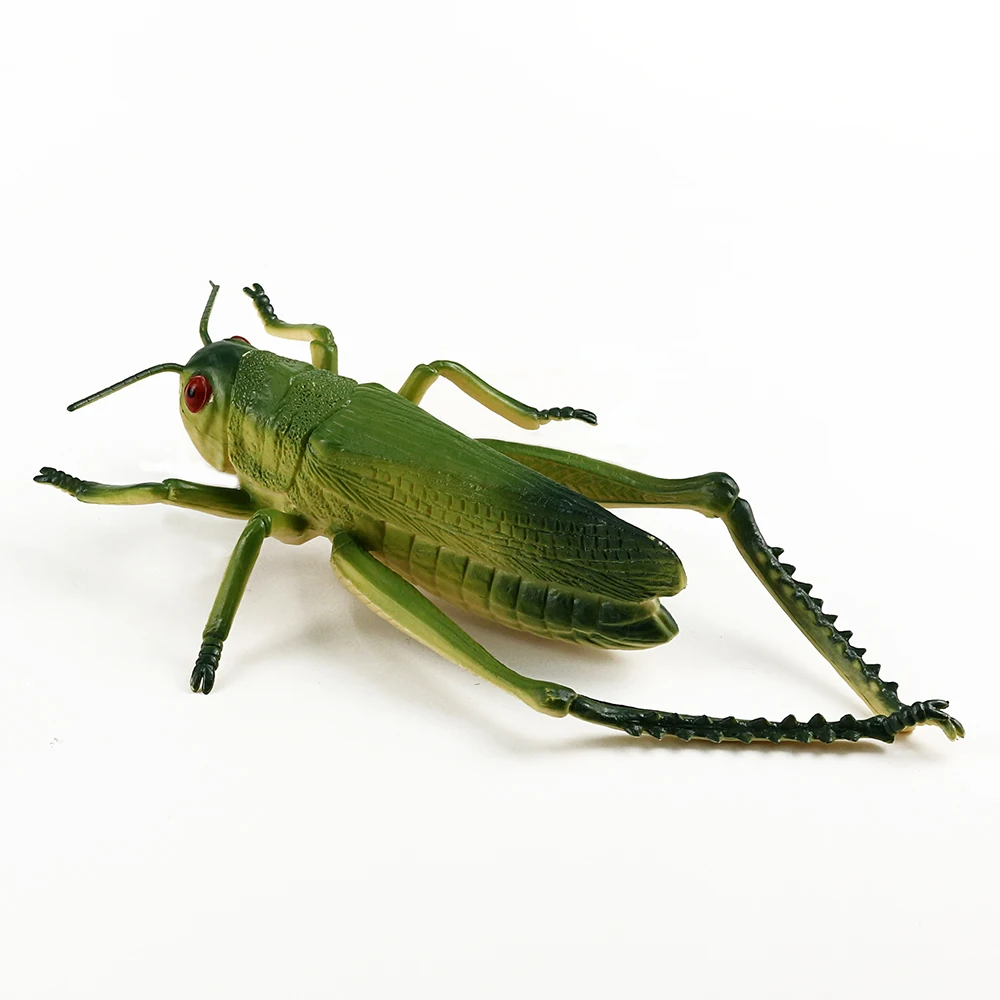 8 Inches Natural World Hollow Insect Model Plastic Grasshopper Toy