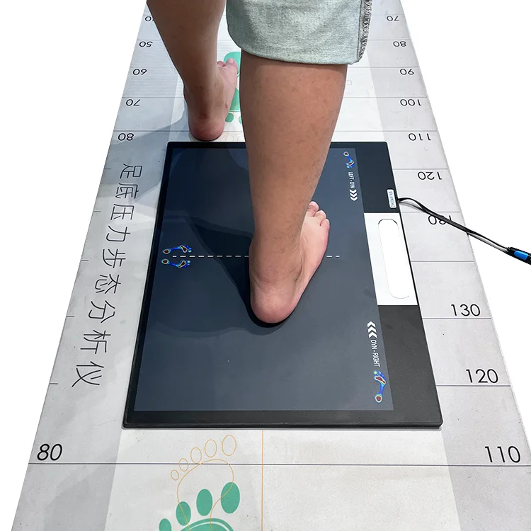 Comprehensive Foot Pressure Analysis System for Evidence-Based Foot Care Practices Flat of the ...