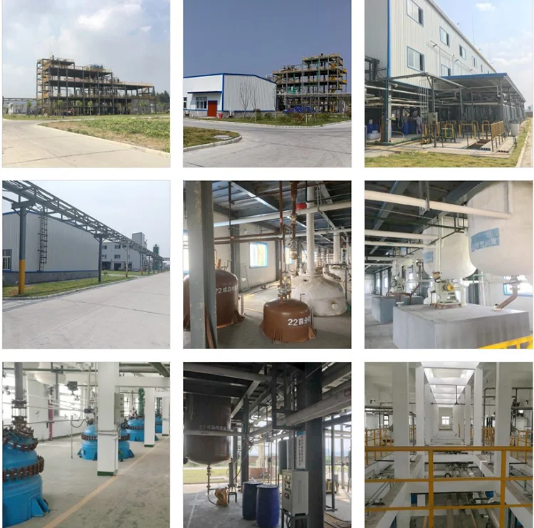 Cfs-850 Memo Cas 2530-85-0/silane Coupling Agent Kh570/kbm-503/a-174 ...