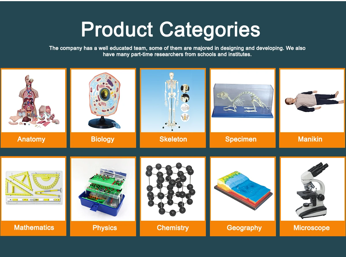 Qinghua Science And Education Equipment Co., Ltd. - Educational Equipment