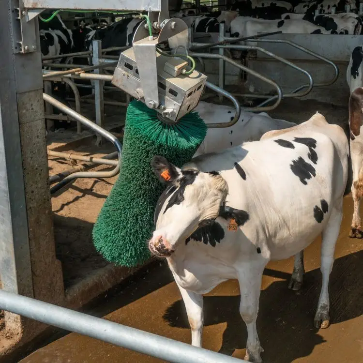 Automatic Electric Cattle Body Cleaning Brush Nylon Wire Cow Body Brush