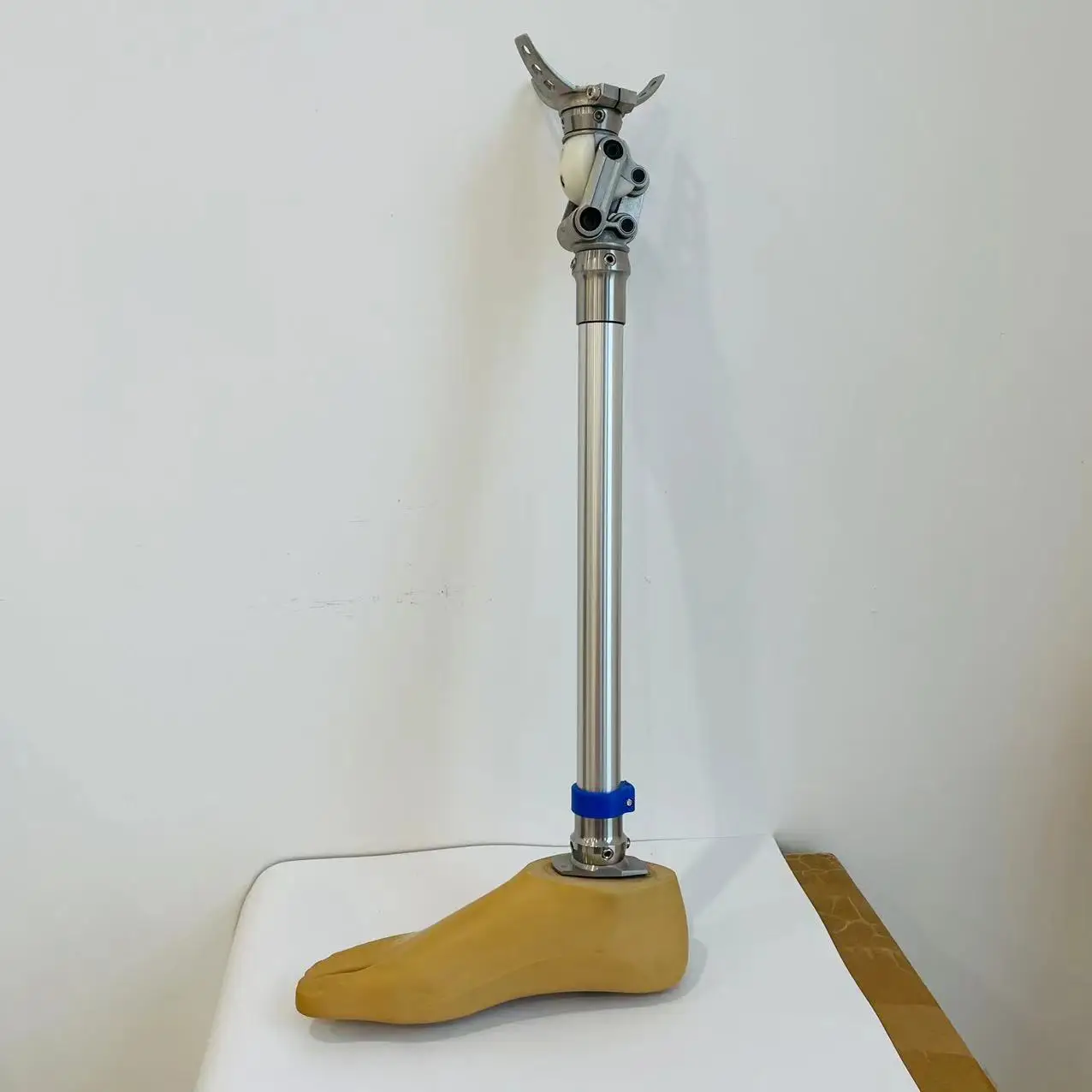 Foot Prosthesis - SACH Foot Prosthetic Leg Parts by Aosuo
