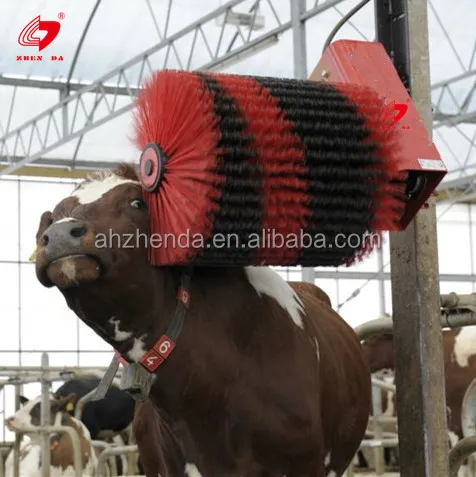 Best Supplier Customized Automatic Cow Body Massager Scratch Brush For ...