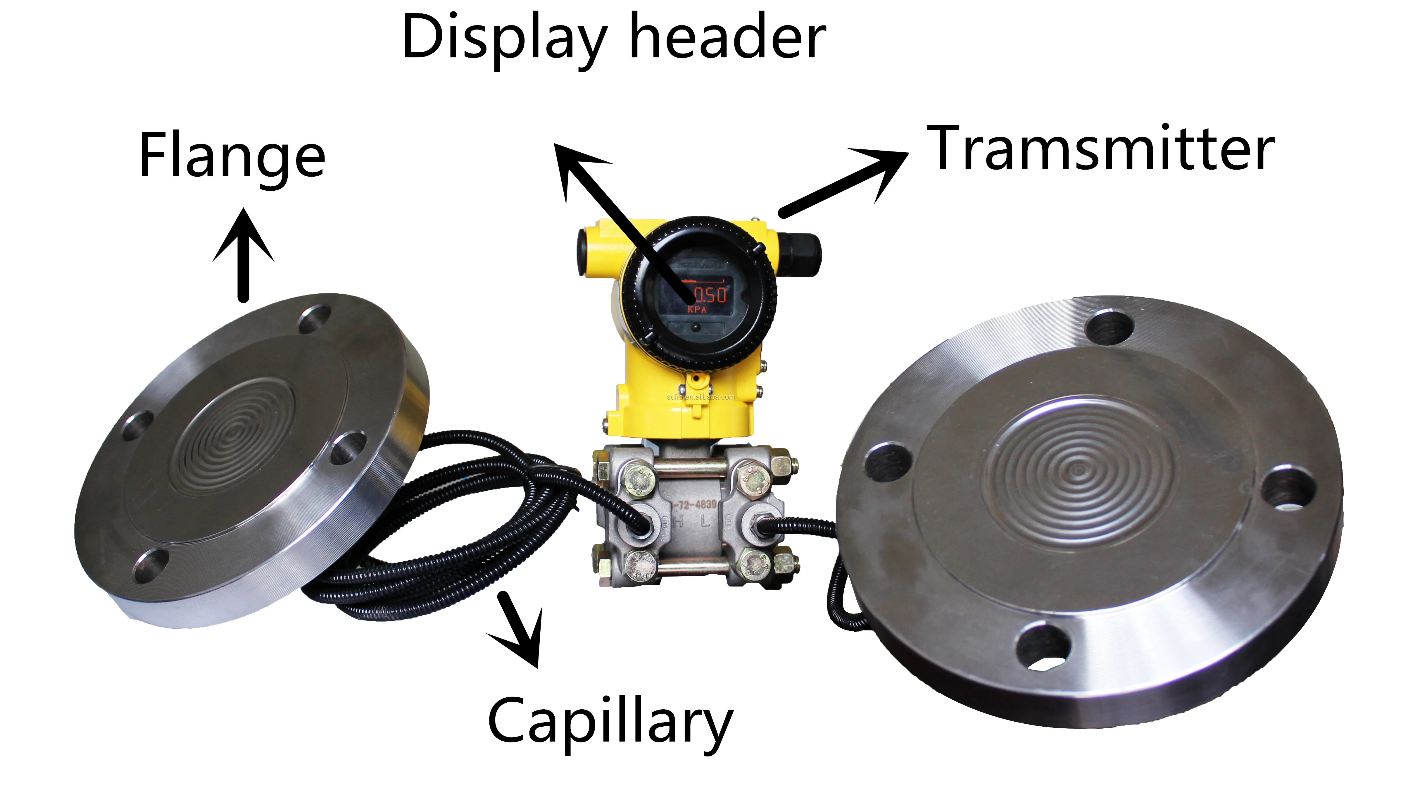 Double Flanges Mount Direct Differential Pressure Level Transmitter ...