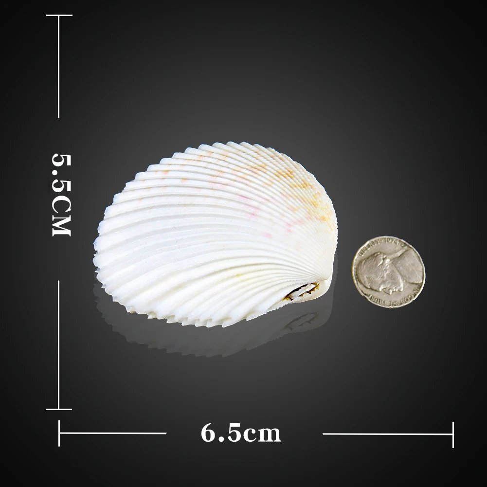 Carving Art Crafts Natural Black Mop Shells Secondary Processing ...